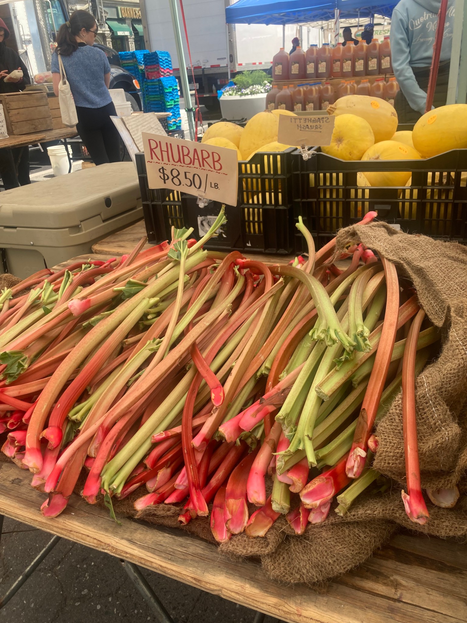 Erica De Mane | New York Italian