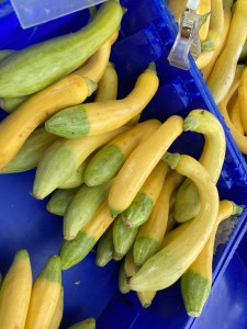 Erica De Mane | New York Italian