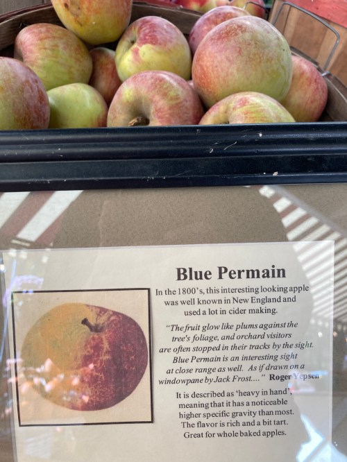 Erica De Mane | New York Italian